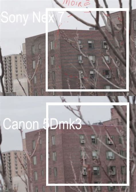 Rolling Shutter Jello Comparison 5d Mark Iii Vs Sony Nex 7