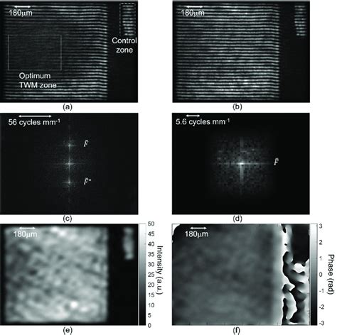 Interferogram For Static 2d Phase Image A Interferogram For Dynamic Download Scientific