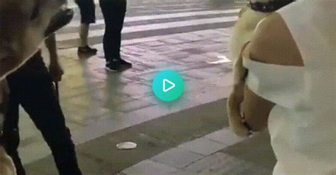 Every Internet Argument  On Imgur