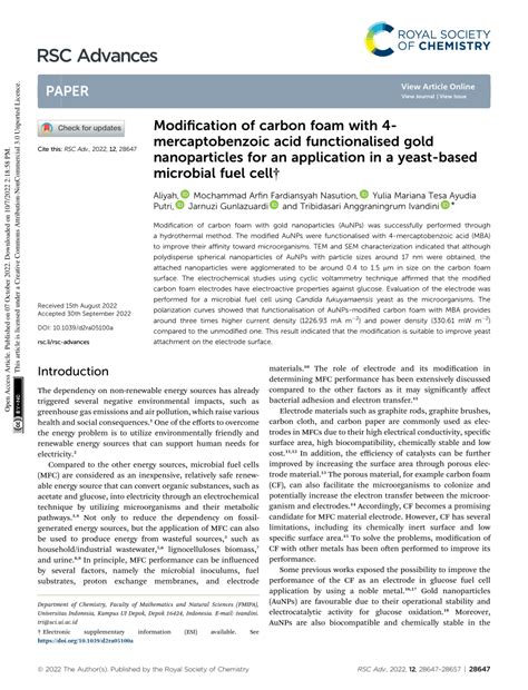Pdf Modification Of Carbon Foam With 4 Mercaptobenzoic Acid Functionalised Gold Nanoparticles