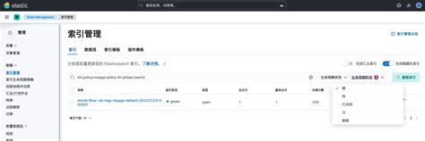 Es8生产实践——es索引策略配置与写入优化es修改索引配置 Csdn博客