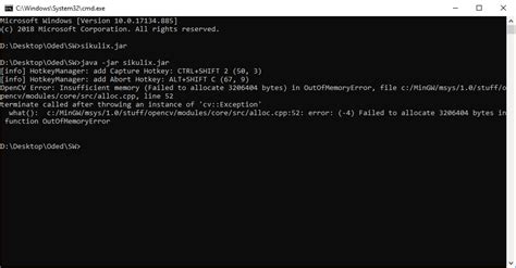 Memory Leak Until Crash From OpenCV Error 4 Failed To Allocate X Bytes Issue 181 RaiMan