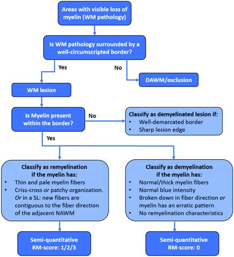 flowchart for in or exclusion of wm pathology and for classification of