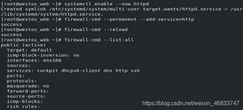 linux中apache的管理及优化web vhost conf d 启用 csdn博客