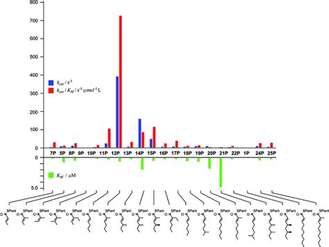 Kinetic Parameters Obtained For In Vitro Assay Of The Indicated