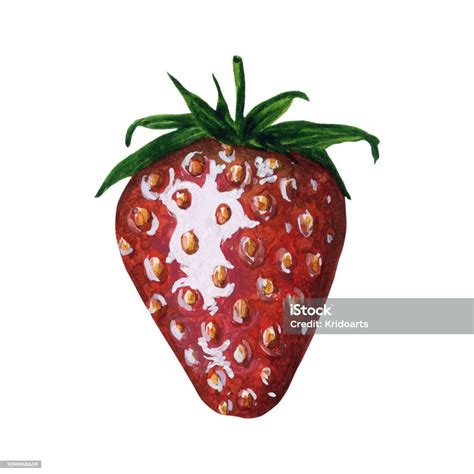 잘 익은 신선하고 육즙이 많은 딸기가 하얀 배경에 분리되어 있고 손으로 그린 수채화 그림 엽서 인사말 카드 초대장 직물 인쇄물 배경 포장의 디자인을 위해 0명에 대한 스톡