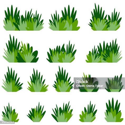 푸른 잔디 덤불 푸른 정원 식물의 무성한 다발을 설정합니다 벡터 평면 만화 일러스트 흰색 절연 풀 벼과에 대한 스톡 벡터 아트 및 기타 이미지 Istock