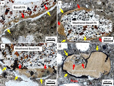 Transmitted Light Plane Polarised View Thin Section Photomicrographs