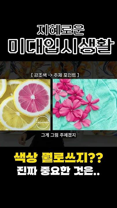 색감 세련되게 쓰는 방법 알려드림 Youtube