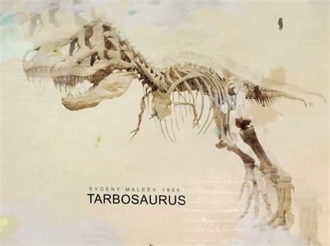 Монцаме агентлагаас эрхлэн гаргадаг “mongolia Today” сэтгүүл дээрх Байгалийн Түүхийн Музейн