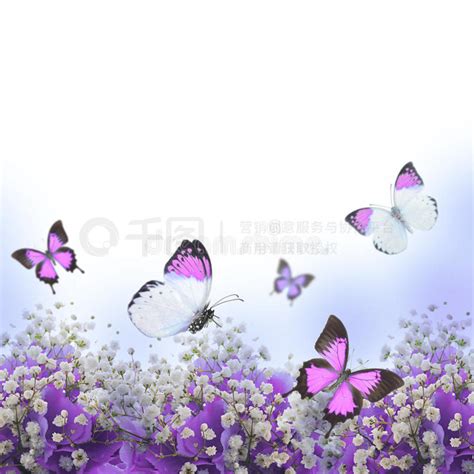 白天高清图片 花束，蓝色绣球花 花束，蓝色绣球花图片免费下载 5123038122 千图网pro