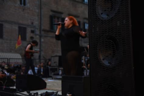 k array k array amplifies festival season