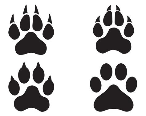 Panther Paw Silhouette On White Background 44771519 Vector Art At Vecteezy