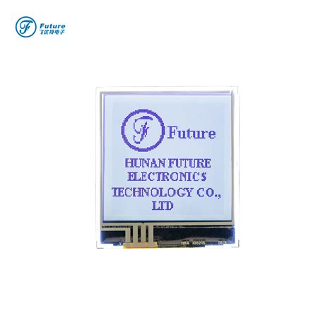 100100 Dots Graphic Mono Lcd Display With Ic With Tp Lcd Display And