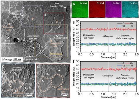 Stem Characterization For The Microstructural Features Of The