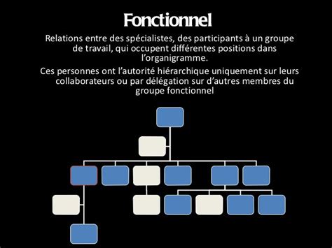 Organigramme Et Structure