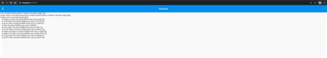 ImageCodecException In Release Build Flutter Web CanvasKit Issue Flutter Flutter
