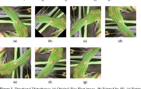 Table 1 From Plant Leaf Disease Recognition Using Depth Wise Separable