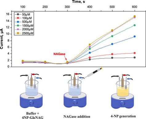 Intermittent Pulse Amperometry As An Effective Electrochemical Assay Of