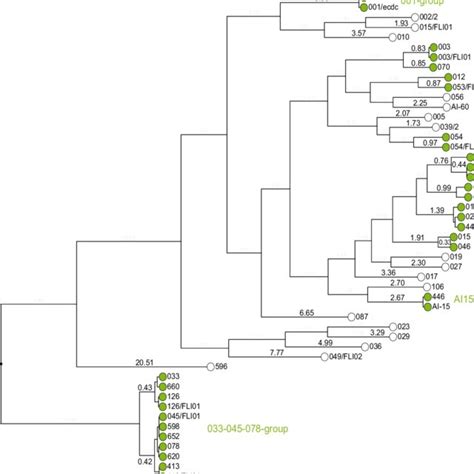 Probe Selection For The Dna Microarray Using The Intergenic Spacer