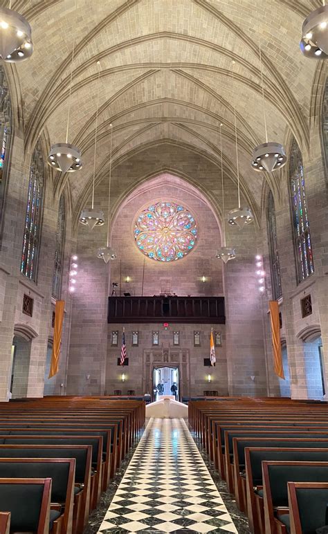 Steven Ball Musician