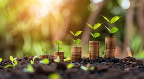 How To Change The Resolution Of A Picture A Comprehensive Guide Expert Photo And Image