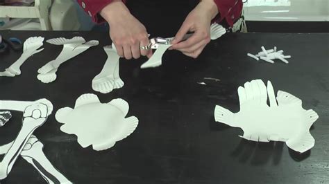 How To Build A D Model Of A Skeleton EHow