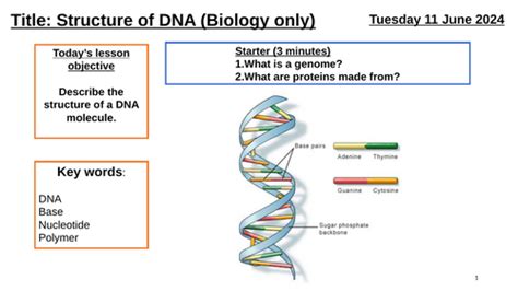 Aqa Gcse Biology Lesson 2 Structure Of Dna Bio Only Inheritance
