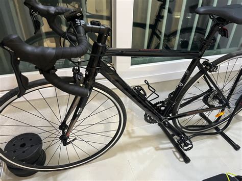 첼로 스칼라티 A3 소라 로드자 당근 중고거래