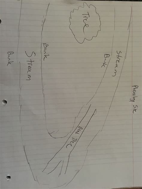 Plot Map Phenology Project