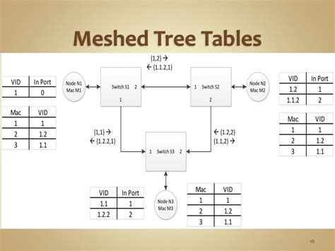 Ppt Meshed Tree Algorithm For Loop Forwarding In S Witched Networks Powerpoint Presentation
