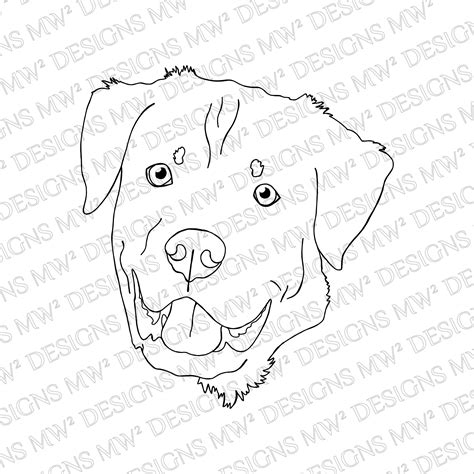 Easy Rottweiler Drawing