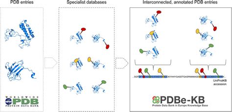 Traditionally A PDB Entry Represents Structures Based On A Single Set Download Scientific