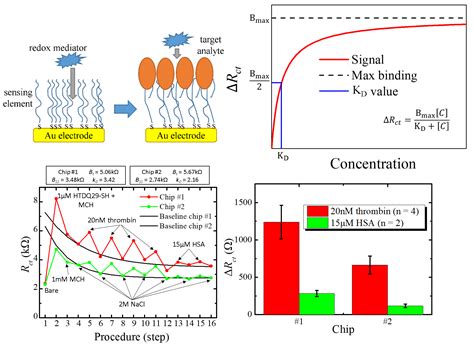 electrochemical impedance modeling of symmetric electrodes for