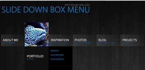 Jquery Menus With Stunning Animations Noupe