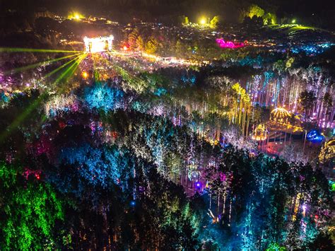 Electric Forest 2025 Set Times And 3 Upgrades To Know About Premier Edm