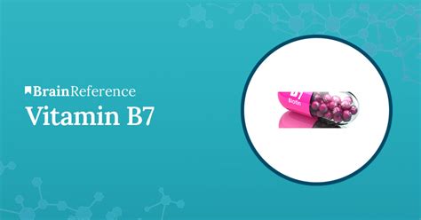 Vitamin B7 Benefits Uses And Side Effects Of Vitamin B7