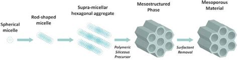 Schematic Representation Of The Synthesis Of Mesoporous Silica Download Scientific Diagram