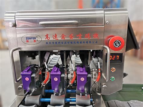 egg inkjet printer egg printing