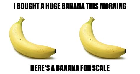 Banana Meme By Alecia Memedroid