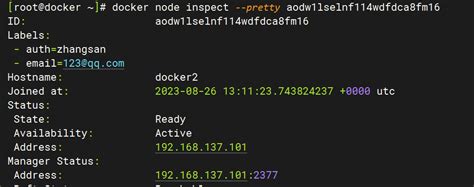Docker Swarm 节点维护docker集群节点身份降级 Csdn博客