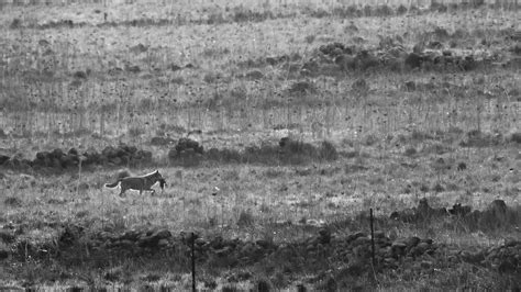 Portfolio Ariel Fields Photography Portfolio Ariel Fields Photography