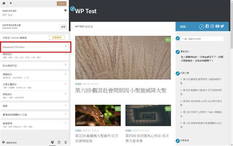 Wordpress Plugin Advanced Css Editor 樣式編輯外掛程式 麥克斯與沃普雷司