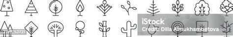 낙엽수 침엽수 및 열대 나무의 윤곽선 기호 모음 편집 가능한 획 상점 상점 배너 디자인을 위한 간단한 선형 그림 0명에 대한 스톡 벡터 아트 및 기타 이미지 Istock