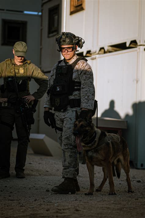 Dvids Images Mcagcc Pmo Special Reaction Team Marines Perform Close