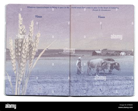American Passport Pages