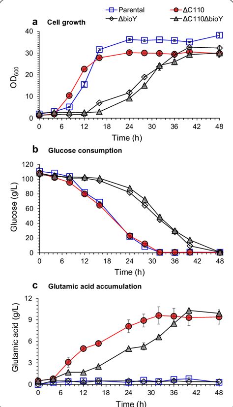 Triggering Glutamic Acid Accumulation By C Terminal Truncation Of Msccg Download Scientific