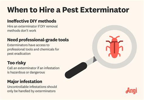 When To Call An Exterminator For These Household Pests Angi