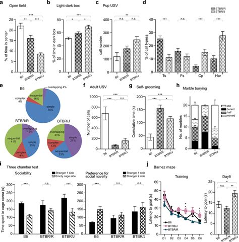 Btbr R Showed Behavioral Deficits And Autistic Phenotypes Differently