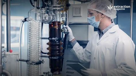 The Differences Between Simple And Fractional Distillation Extraction